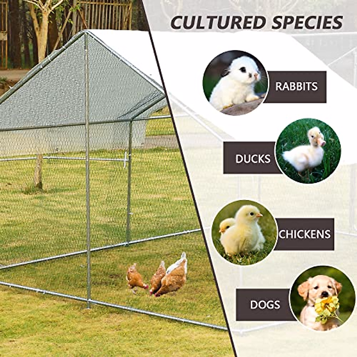 JOVNO Large Metal Chicken Coop Cage Walk-in Enclosure Poultry Hen Run House Playpen Exercise Pen Outdoor Yard Poultry Pet Hutch with Weather Proof Cover (29.5 x 9.9 x 6.57 FT)