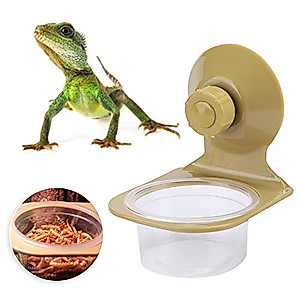 Reptile Feeder Bowl, ABS Plastic Pet Reptile Suspension Food Feeder with Suction Cup Fixed Hanging Lizard Anti Escape Water Breeding Feeding Bowl (Single Bowl)