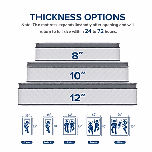 Queen Mattress, 12 Inch Medium Firm Hybrid Mattress with Bamboo Charcoal Gel Memory Foam and Pocketed Springs, Queen Size Mattress in a Box with Pressure Relief and Support, CertiPUR-US Certified