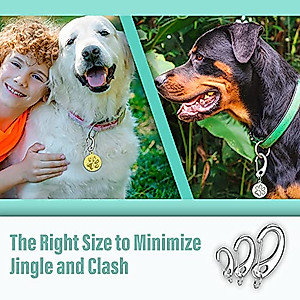 Leash King Dog Tag/Pet Tag w/Pet Tag Quick Clip Combos- 2 Pairs (4 pcs) of Standard Quick Clips - Entirely sugrical Stainless Steel