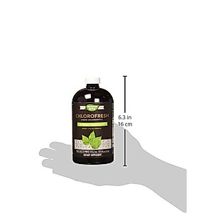 Nature’s Way Chlorofresh, Supports Detoxification Pathways*, Liquid Chlorophyllin Copper Complex, Supports Healthy Skin*, Internal Deodorant*, Mint Flavored, 16 Fl Oz.