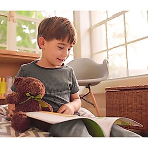 Fluffuns Teddy Bear Plush - Cute Teddy Bears Stuffed Animals - 3-Pack of Stuffed Bears - 9 Inch Height (Gray)