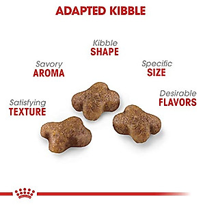 Royal Canin Feline Health Nutrition Dry Food for Young Kittens, 7 lb bag(Packaging May Vary)