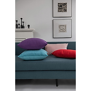 DEZENE 18x18 Throw Pillow Cases Purple: 2 Pack Cozy Soft Velvet Square Decorative Pillow Covers for Farmhouse Home Decor