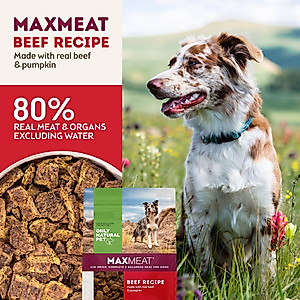 Only Natural Pet MaxMeat Holistic Air Dried Dry Dog Food - All Natural, High Protein, Grain Free and Limited Ingredient - Made with Real Meat - Beef with Pumpkin & Parsley 5.5 lb