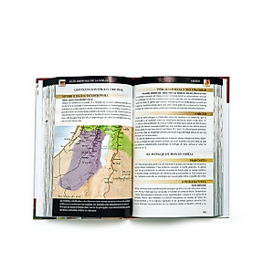 Guía esencial de la Biblia | Ultimate Bible Guide (Spanish Edition)