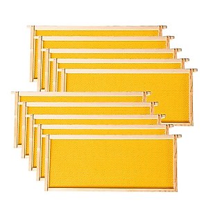 MayBee Hives-Deep or Brood Size Beehive Frames and Foundations,10 Pack Honey Bee Frames with 100% Beeswax Coated Food Grade Foundation Sheets, 9-1/8-Inch(Yellow)