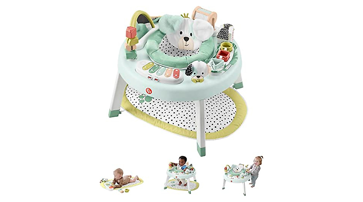 Fisher-Price 3-in-1 Snugapuppy Activity Center for Growing Babies
