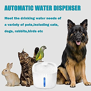 Cat Water Fountain, Arespark Pet Water Fountain, 3L Automatic Cat Water Dispenser with 4 Replacement Filters, Large Tank with LED Indicator, Drink Well for Cats, Dogs, Multiple Pets
