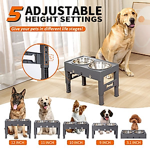 LAKIPETN Elevated Dog Bowls with 2 Stainless Steel Dog Food Bowls 5 Height Adjustable Raised Dog Bowl Stand Non-Slip Dog Feeder Adjusts to 3.1”, 9”, 10”, 11”, 12” for Medium Large Dogs - Gray