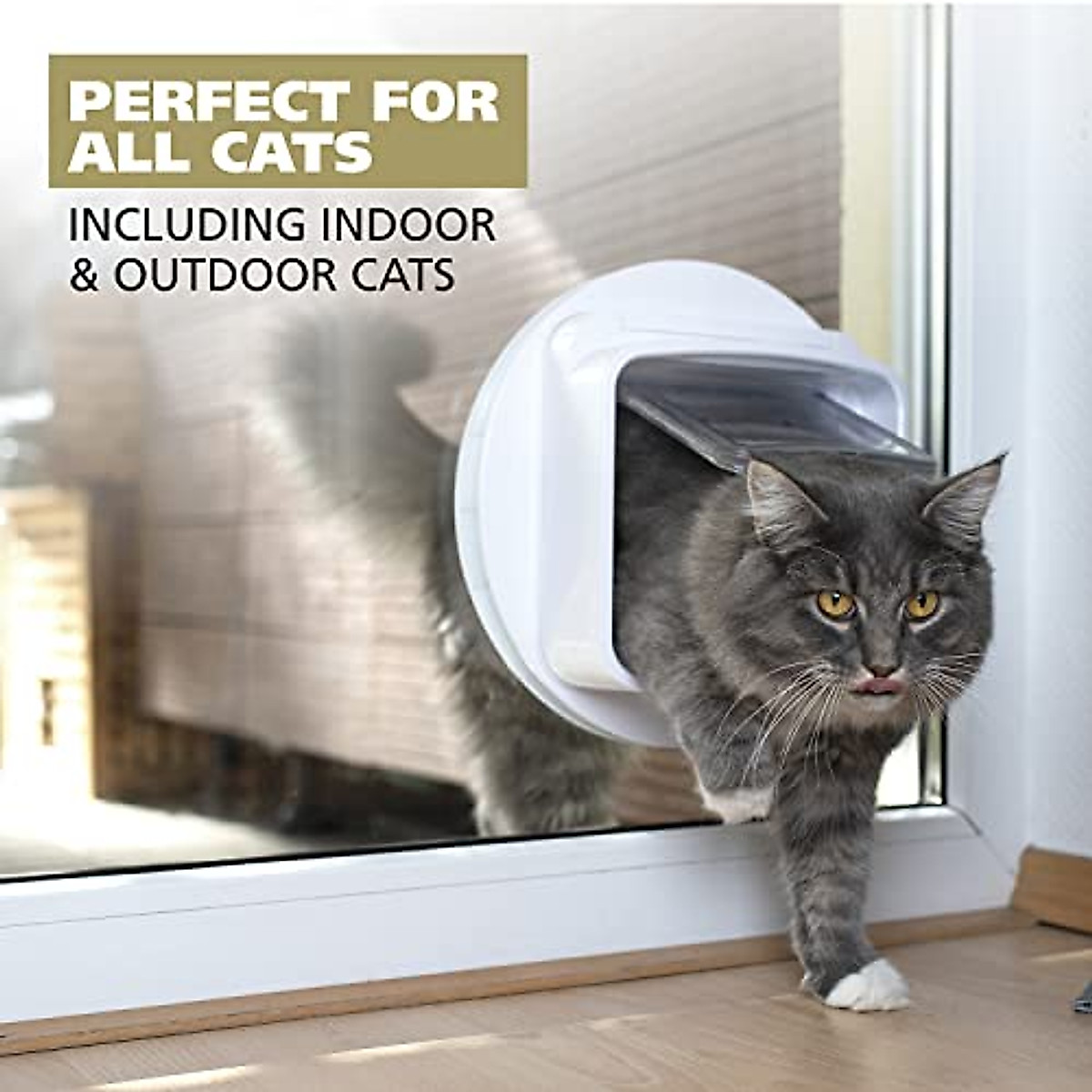 Wahl Cat Refresh Cleaning Wipes with Oatmeal Formula for Refreshing and Cleaning Dirty Cats - 50 Count - 820017-500