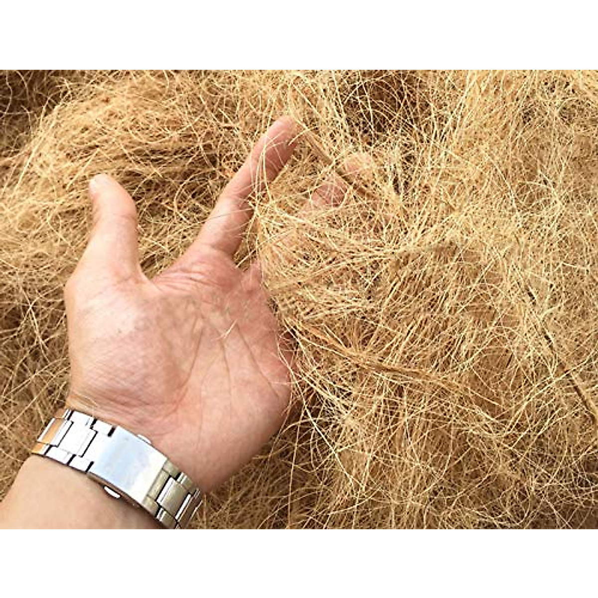 Lucky Interests Coconut Fiber, 9oz. Comfortable Bedding for Small Birds and Animals, Nest Material for Nest Building, Hideouts, Plants and Upholstery