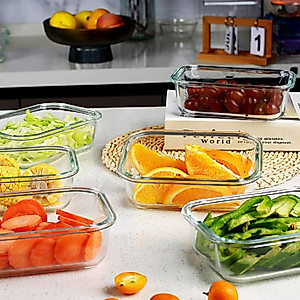 DAS TRUST 10 Pack Glass Meal Prep Containers Meal Prep Bowls Food Storage Containers Glass Food Prep Containers with Lids Lunch Container for Adults Lunch Box Bento Boxes