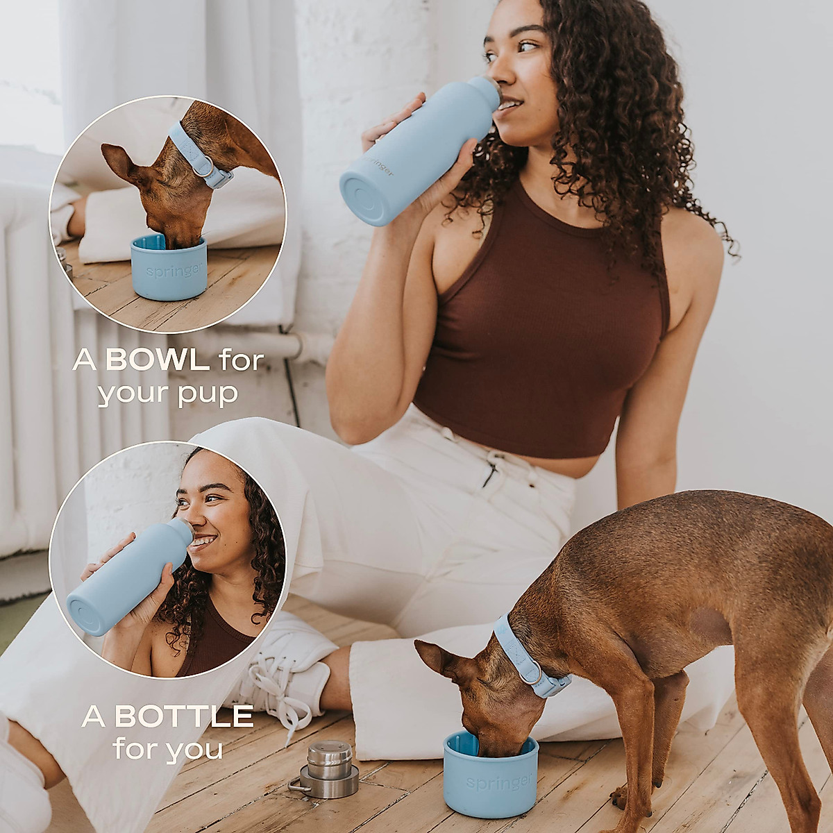 Springer Dog and Me Water Bottle, Stainless Steel Insluated Water Bottle, Keeps Water Cold for 12 Hours (White)