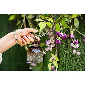 Glass Plant Mister Spray Bottle, 6.3inch Tall Vintage Plant Spritzer Watering Can, Succulent Watering Bottle with Top Pump, Plant Mister Glass Watering Garden Tool (Brown Clear Gradient)