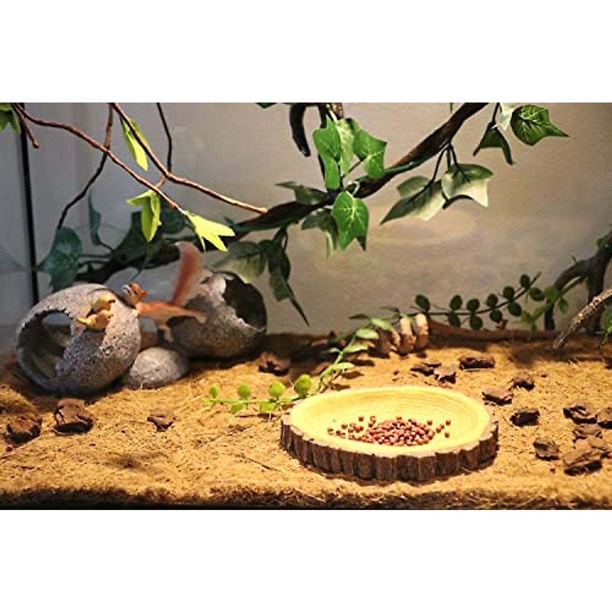 AQUA KT Reptile Corner Water Dish Food Feeding Bowl for Snake Lizard Bearded Dragon Turtle Feed and Terrarium Habitat Cage Decoration