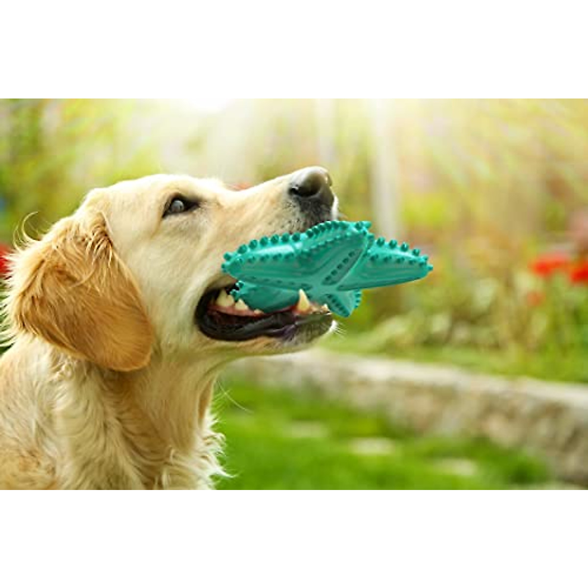 Carllg Dog Toys for Aggressive Chewers, Dog Teething Cleaning Toothbrush Toy, Durable Squeaky Interactive Starfish Puppy Toys for Small Medium Large Breed