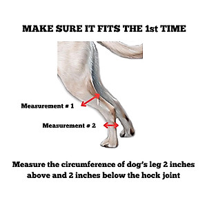 Premium Canine Hock Joint Dog Leg Brace. Rear leg braces for dogs help in Recovery, Injury Protection, Compression Wrap, Loss of Stability Caused by Arthritis. Effective post surgery for dogs rear leg