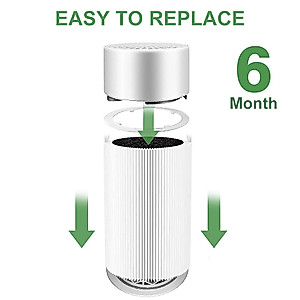 JASENG 411 Replacement Filters for Blueair Blue Pure 411, 411+, 411 Auto and Mini Air Purifier H13 True HEPA and Activated Carbon Filter