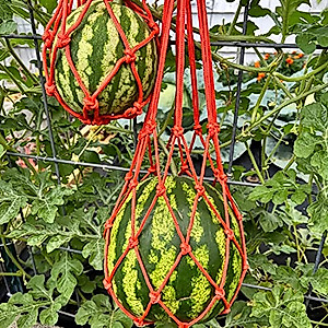 LSHCX Melon Hammocks Cradles, 5 Pack of Nets for Melons, Perfect for Growing Cantaloupe, Watermelon in Vertical Garden (Orange)