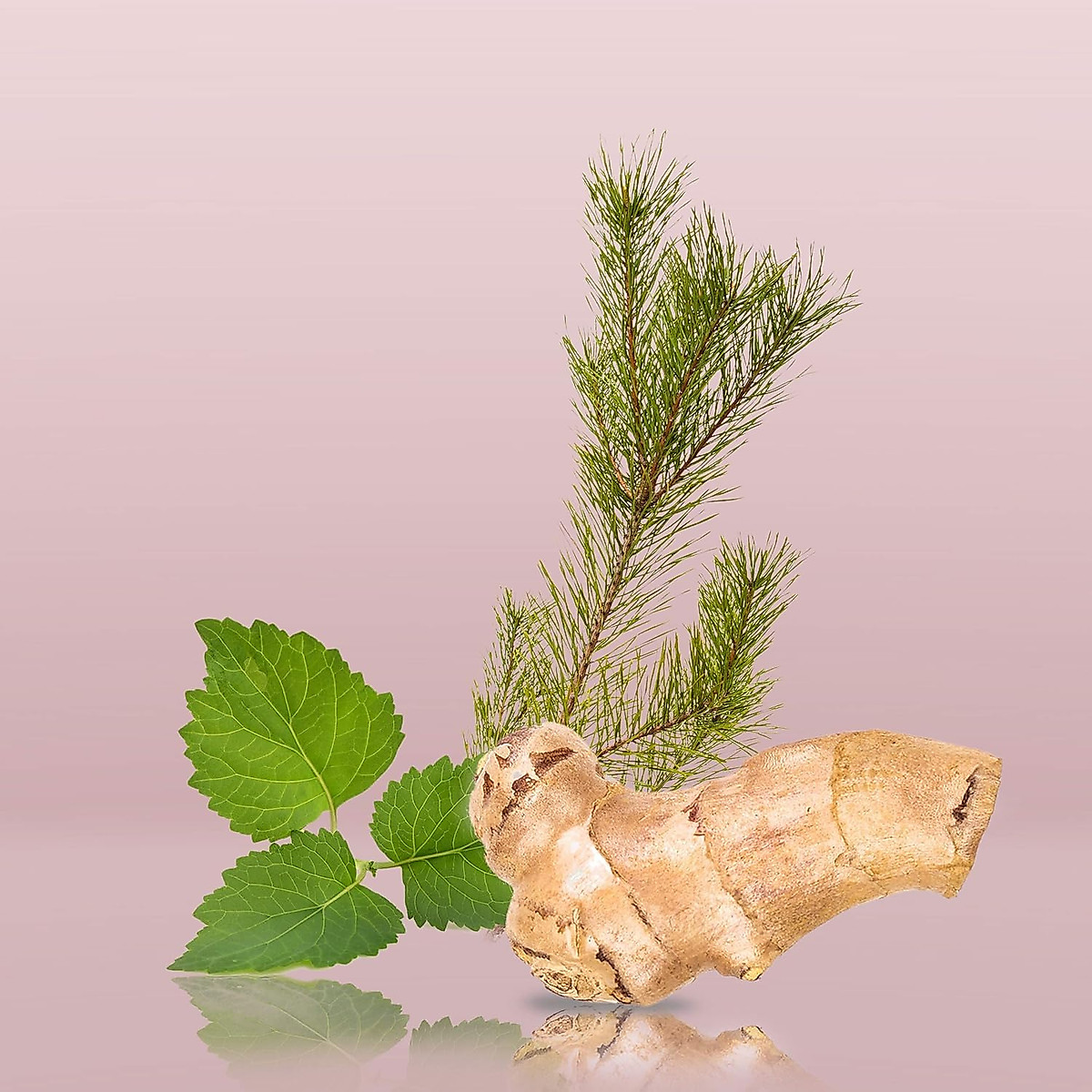 Calvin Klein euphoria for Men, Deodorant, 2.6 Fl Oz