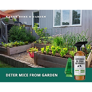 Kate's Home & Garden Peppermint Oil Spray for Rodents, Mice, Squirrels with Humane Trap. Rodent Repellent Indoor for Car Engines & Outdoor (16oz, Non Toxic)