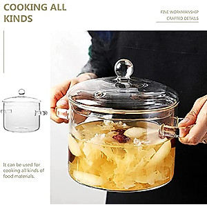 Glass Saucepan with Cover Heat-resistant Glass Stovetop Pot and Pan with Lid for Pasta Noodle, Soup, Milk, Baby Food (64oz/1900ml)