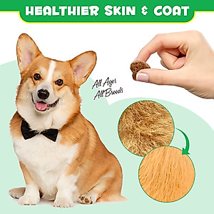 Probiotics for Dogs,Dog Probiotics for Dogs Digestive Enzymes, Gut Health,Itchy Skin, Allergies, Yeast Balance,Immune System and Overall Health Supports,120 Soft Chews,Perking Duck Flavor