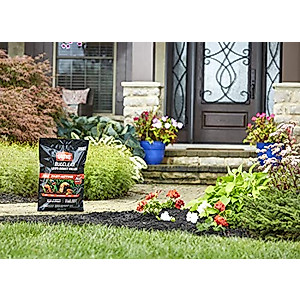 Ortho BugClear Lawn Insect Killer - Kills Ants, Ticks, Armyworms, Sod Webworms, Fleas and Spiders in Your Yard, Fast-Acting, Kills By Contact Above and Below the Ground, 20 lb.