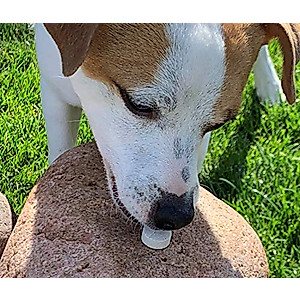 Stool Eating Deterrent with Yucca Schidigera Extract for Dogs