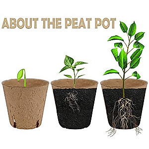 winemana 100 Pack Seed Starter Tray Kit, Biodegradable Peat Pots for Seedling with 100 Plant Labels, Plant Garden Germination Tray for Flower Vegetables Succulents (3" x 3")