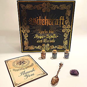 Witchcraft Supplies and Herbs for Spells 25 Premium Fine Dried Botanicals (Large Size) and 3 Crystal Stones for Wicca and Pagan Rituals, Alter Supplies, Magic Spells Green Witchtok by Fidelis