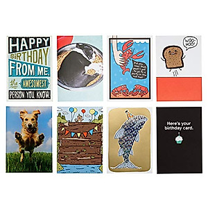 Hallmark Shoebox Funny Birthday Card Assortment (8 Cards with Envelopes) (2199RZG1003)