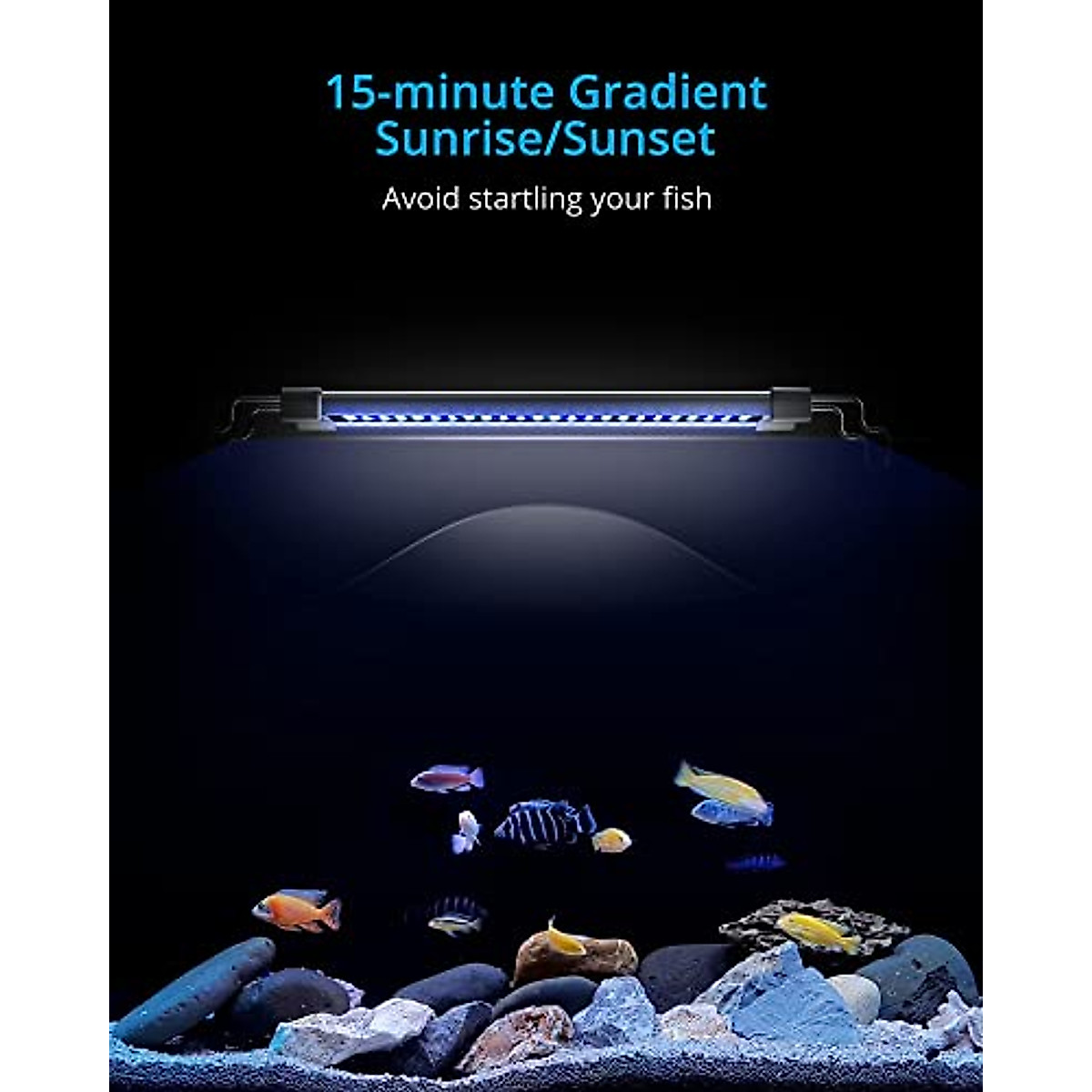 NICREW ClassicLED Gen 2 Aquarium Light, Dimmable LED Fish Tank Light with 2-Channel Control, White and Blue LEDs, High Output, Size 18 to 24 Inch, 15 Watts