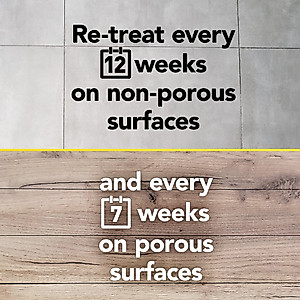 Raid Spider and Scorpion Killer, Kills spiders, scorpions, roaches, ants, Waterbugs, earwigs, 12 Oz