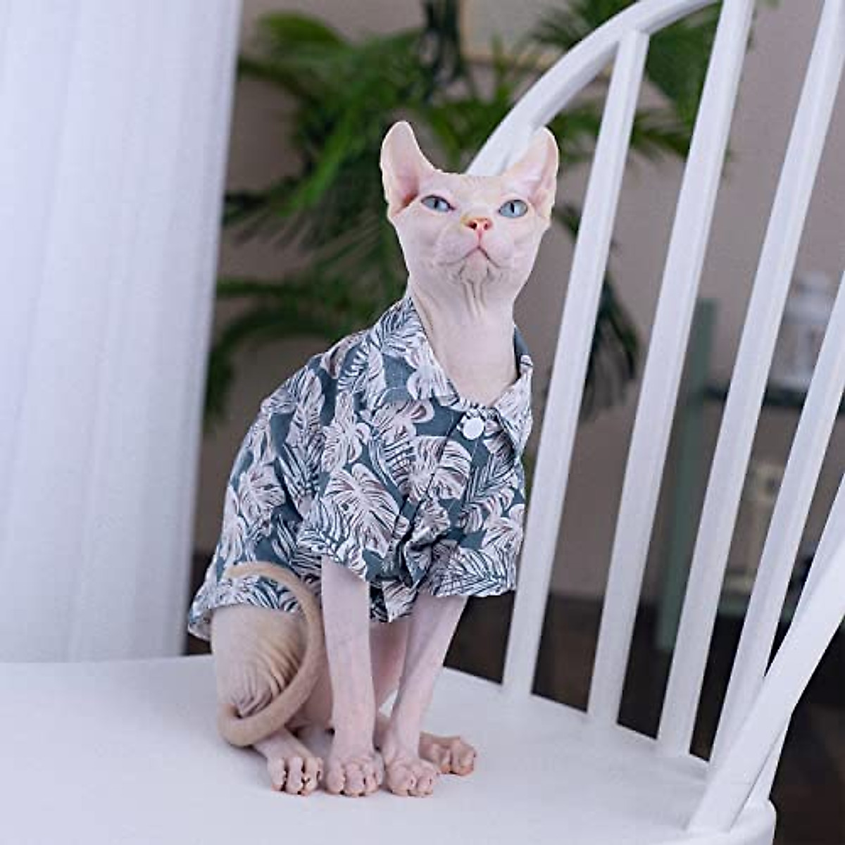 Hairless Cat T-Shirt Breathable Summer Cotton Hawaiian Shirts Short Sleeve Button Closure Turn Down Collar Leaf Print Cat Clothes Vest Apparel for Sphynx, Cornish Rex, Devon Rex, Peterbald (XXL-)