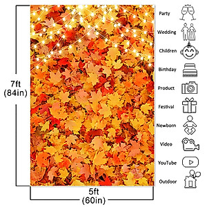 Avezano Autumn Forest Maple Leaves Scenery Photography Backdrop Fall Scene Harvest Thanksgiving Background Decorations Party Photoshoot Backdrops (5x7ft)