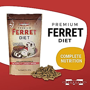 Marshall Pet Products Natural Complete Nutrition Premium Ferret Diet Food with Real Chicken Protein, Highly Digestible, 22 oz