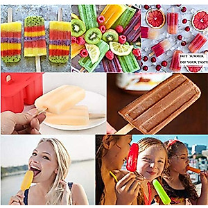 Silicone Popsicles Molds, Homemade ICE Popsice Molds Food Grade BPA-Free with Popsicles Maker Sticks Popsicles Bags A Funnel, Popcycle Maker (Red-10 Cavity)