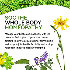 MediNatura T-Relief Pet Arthritis Relief Arnica +12 Powerful Natural Homeopathic Medicines Help Ease Hip & Joint Pain Soreness & Stiffness for Dog & Cat - 90 Tablets