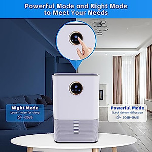 PTHRAOUTA dehumidifier for basement bathroom RV home closet indoor indoor 33.8 oz water tank（800 sq.ft） small dehumidifiers safe mini drainage auto-off odor removal 2 duak-core portable dehumidifier 5 colorful lights remove moisture quite silent car deh