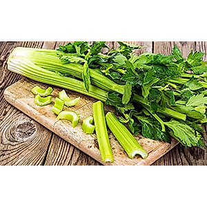 Gaea's Blessing Seeds - Celery Seeds - Tall Utah 52-70 Heirloom Non-GMO with Easy to Follow Instructions 89% Germination Rate Net Wt. 1.25g