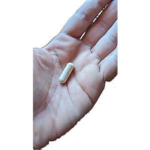 High Strength Pure D-Mannose with Cranberry Extract for Natural Urinary Tract Infections and UTI Support - Digestive Health - Immune System Support - 700mg - Non-GMO - 120 Pills