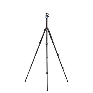 Benro Adventure 2 Series Aluminum Tripod w/ B2 Ball Head (TAD28AIB2)