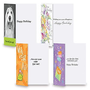 Mega Birthday Greeting Cards Value Pack - Set of 40 (20 designs), Large 5" x 7", Birthday Cards with Sentiments Inside, White Envelopes