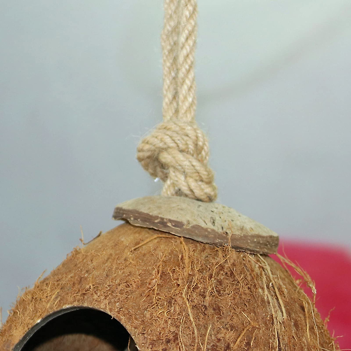 SLDHFE Coconut Bird Nest Hut,Natural Coconut Shell Bird Nest House,Coconut Bird Shell Breeding Nest for Hamster,Bird Cage Accessories,Pet Bird Supplies