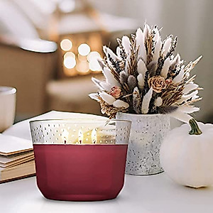 Glade Candle, Fragrance Candle Infused with Essential Oils, Air Freshener Candle, 3-Wick Candle (Apple of My Pie)