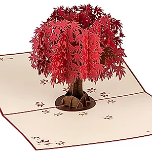 Red Maple Tree by DEVINE Popup Cards | Happy Wedding Anniversary Card for Wife Husband Mom | 3D Mothers Day Card | Pop Up Birthday Card for Women | Romantic Love Gifts