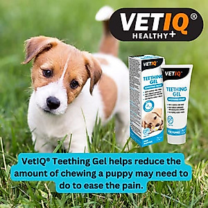 Mark & Chappell Teething Gel for Puppies, 1.75-Fluid Ounce