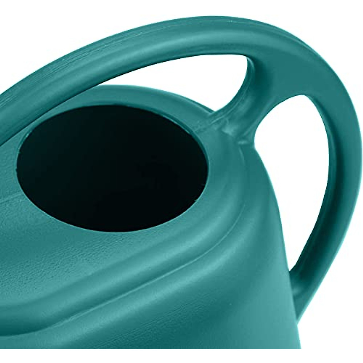 Fasmov Plastic Watering Can, 1-Gallon, Green